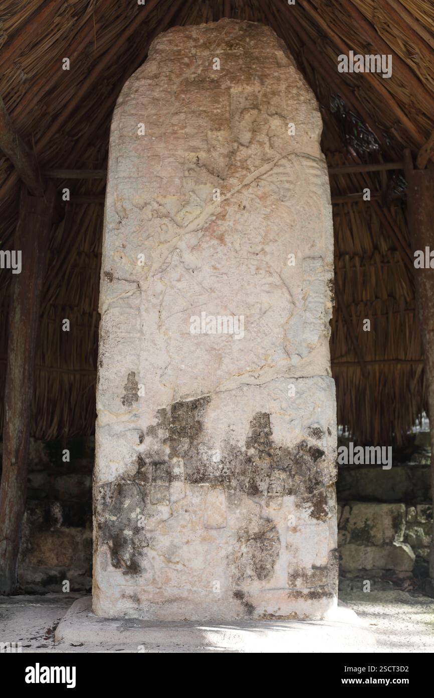 A badly eroded limestone stela featuring a Mayan noble with the glyphs ...
