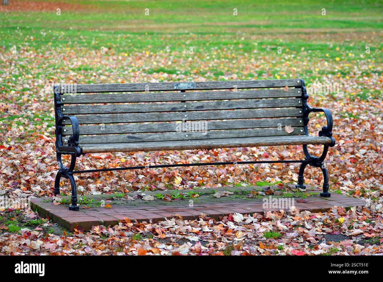 Bench at Hempstead Lake State Park, New York Stock Photo - Alamy