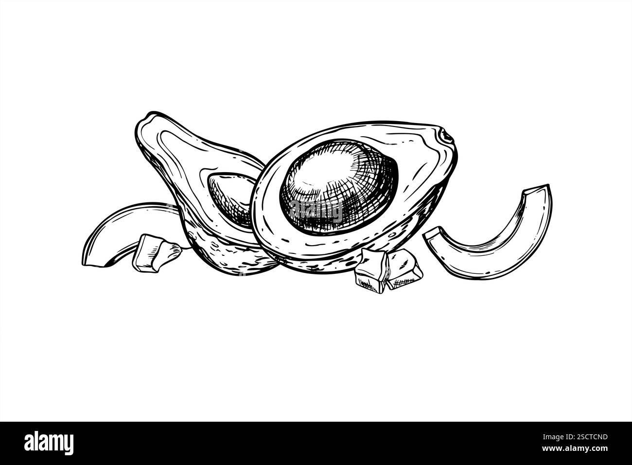 Avocado vector illustration painted by black inks. Half with seed and ...