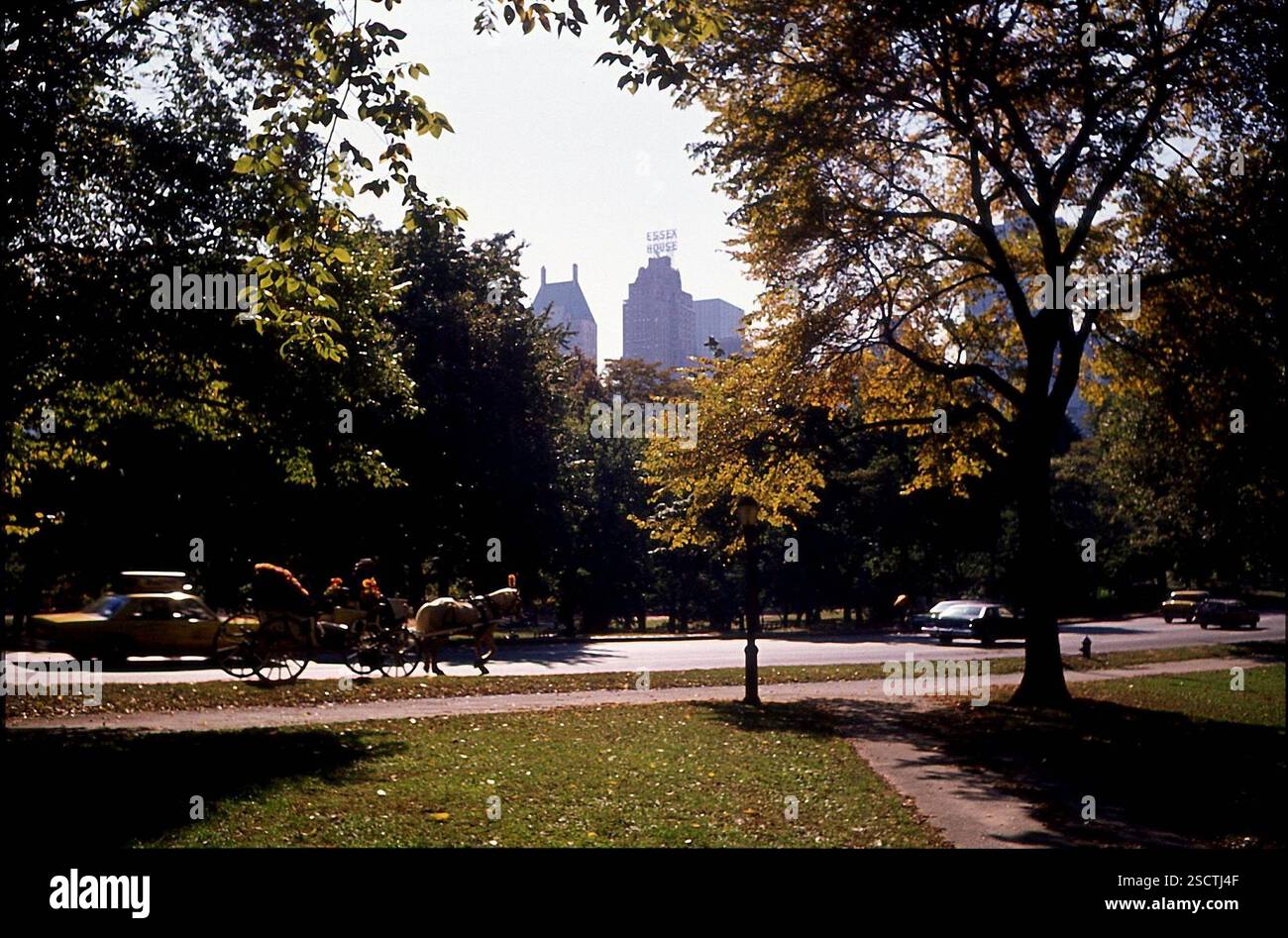 Carriage in Central Park in New York. [automated translation] Stock ...