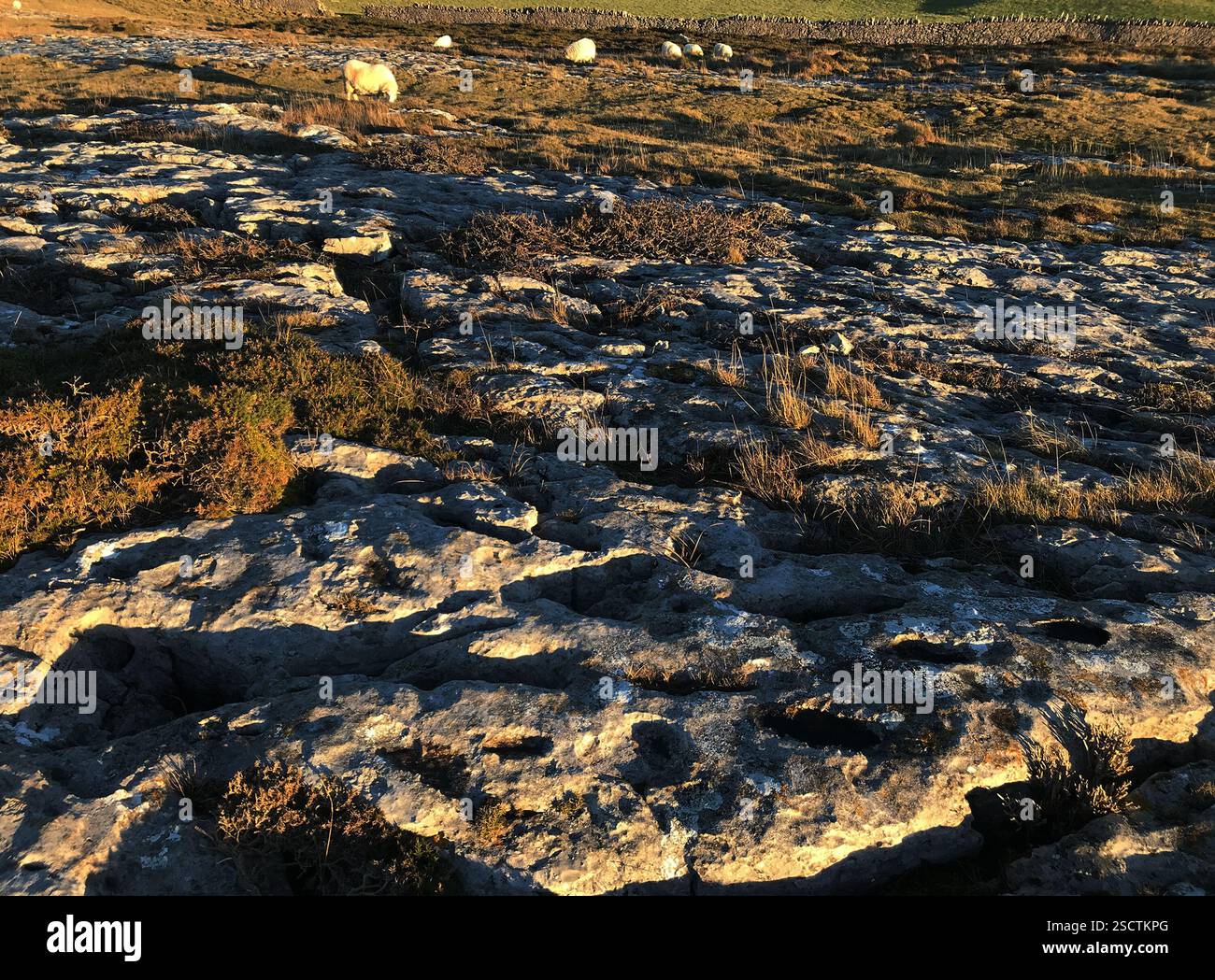 Expanse of limestone pavement (alvar), first exposed during the last ...
