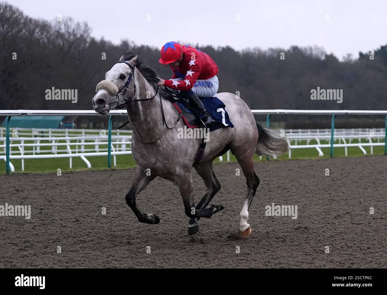 Watermelon Sugar ridden by jockey Joey Haynes on their way to winning ...