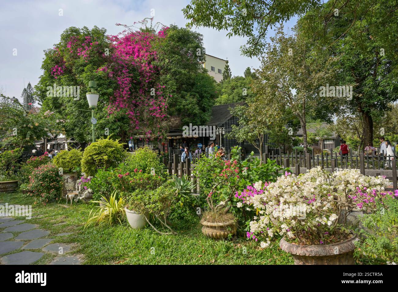 Park, Garten mit Blumen, Azaleen, Hinoki Village, forest cultural and ...
