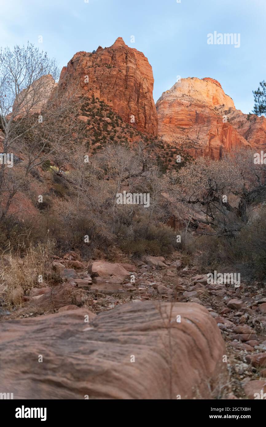 Zion National Park, Utah. Dry creek bed at the base of iconic sandstone ...