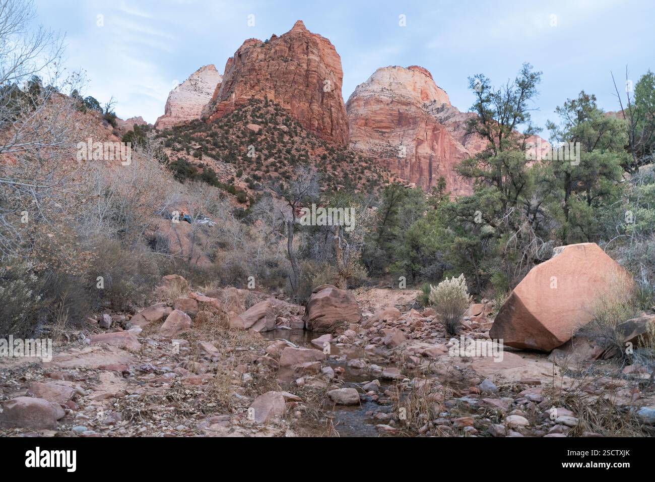 Dry creek bed in Zion National Park, Utah, showcasing the iconic red ...
