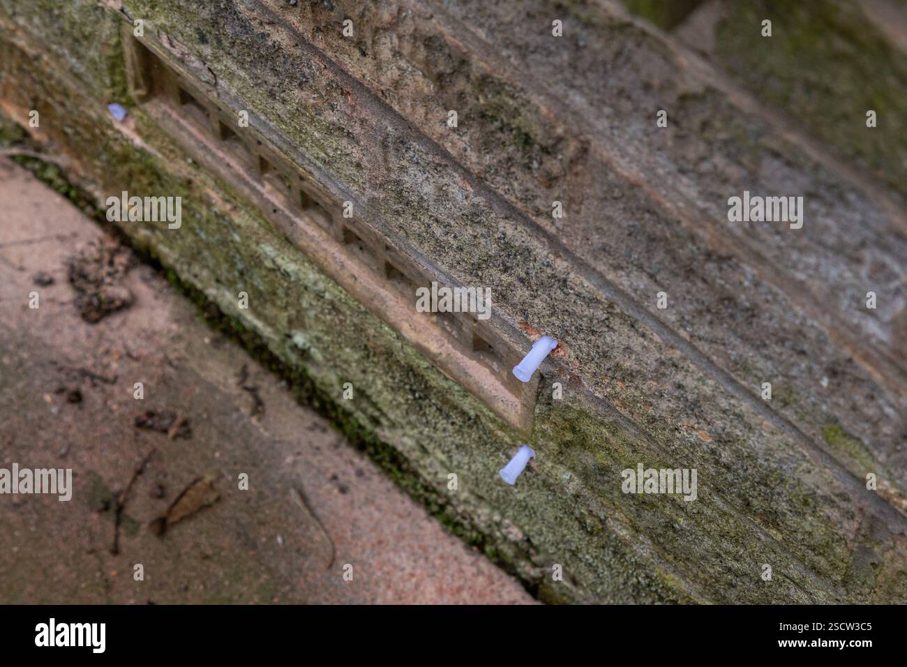Wall plugs in place hi-res stock photography and images - Alamy