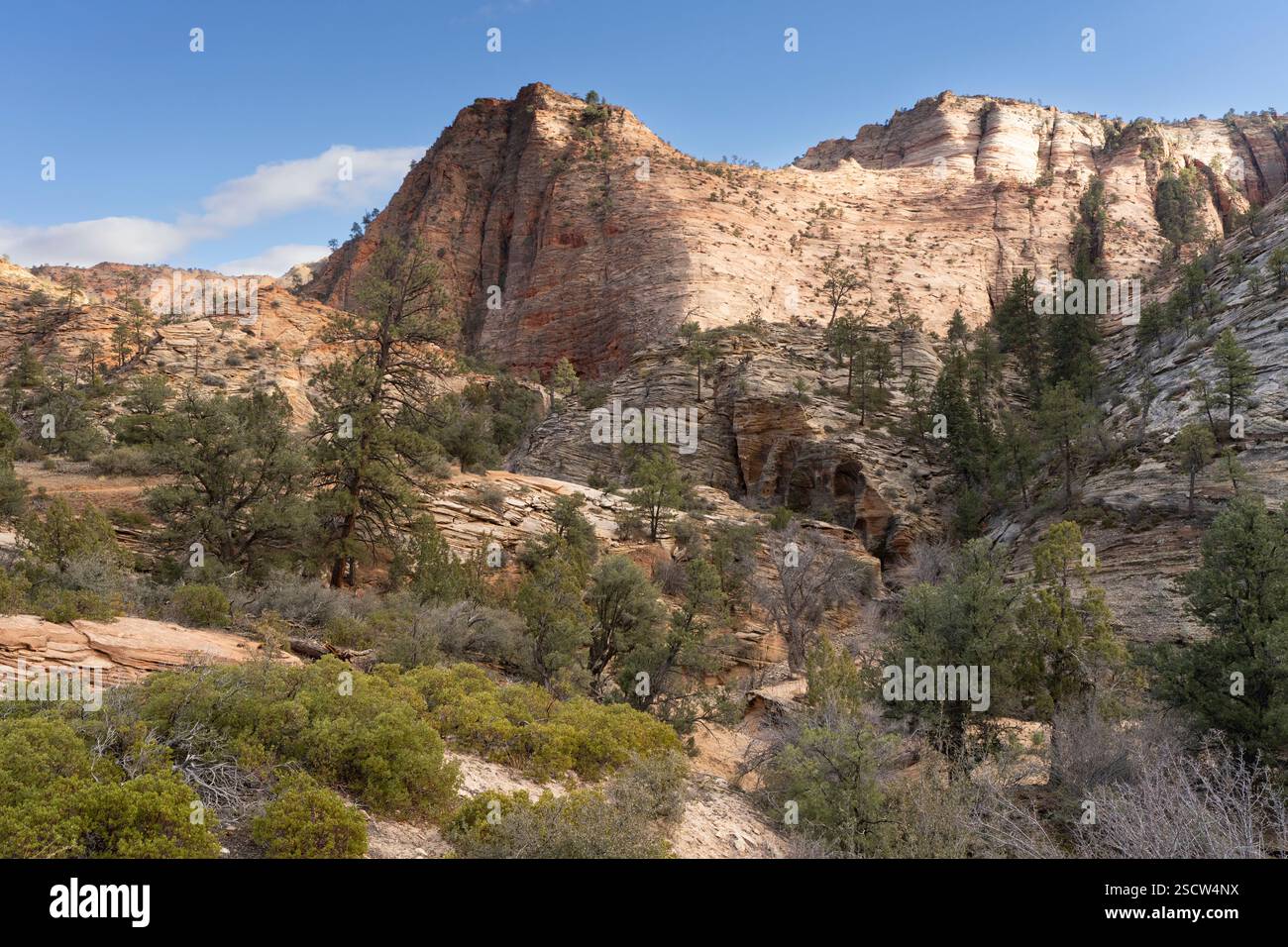 Zion National Park, Utah. Layered sandstone cliffs and desert ...
