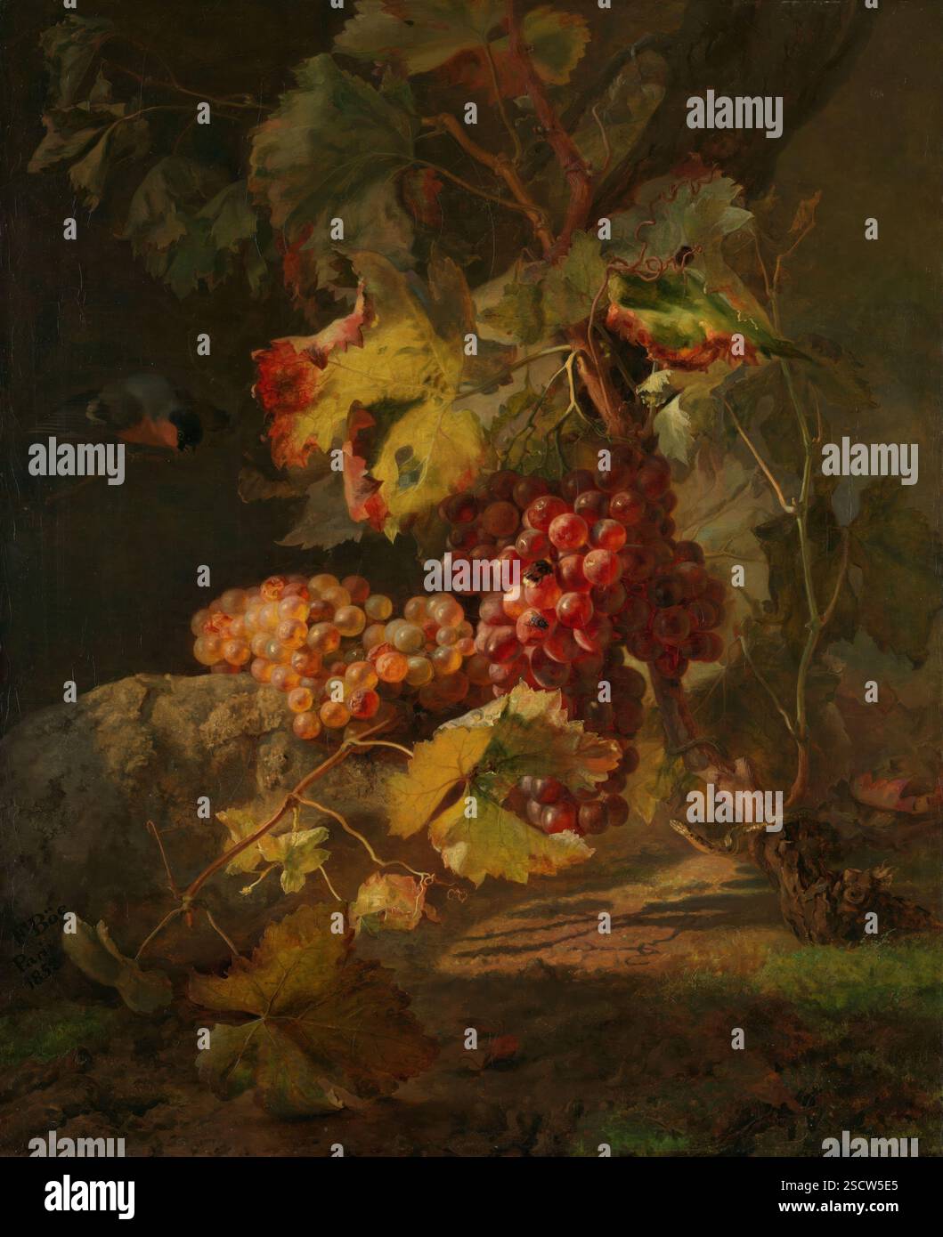 Still Life with Grapes, 1852 Stock Photo - Alamy