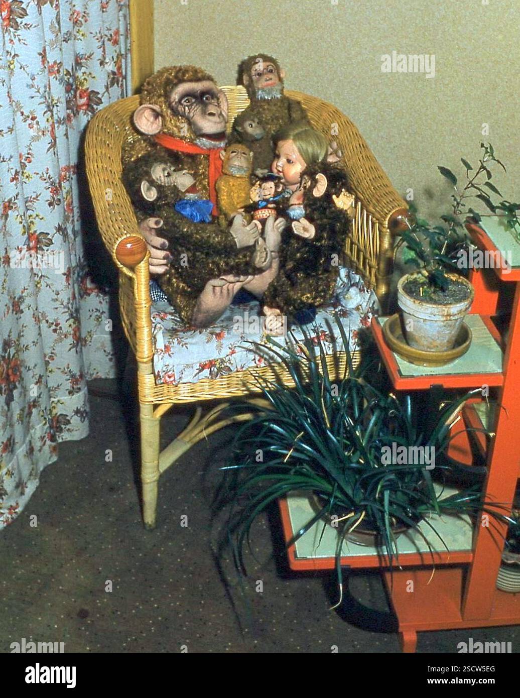 Plush monkey and doll draped on a rattan armchair. [automated ...