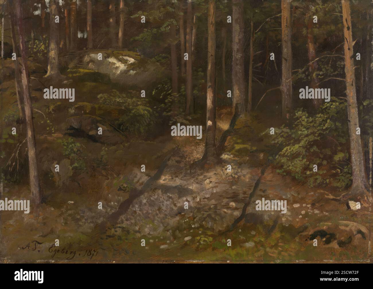 Historical forest study hi-res stock photography and images - Alamy