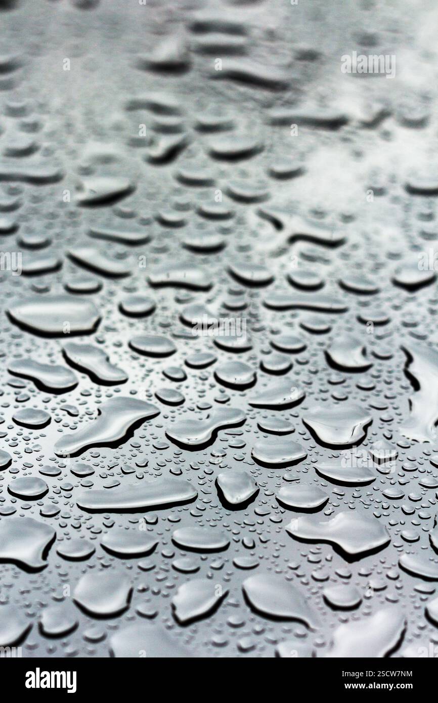 Water droplets create intricate patterns on a smooth surface after a ...