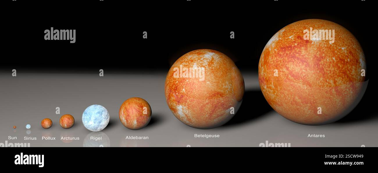 Comparison of star sizes, computer illustration. Rigel is a hot, blue B ...