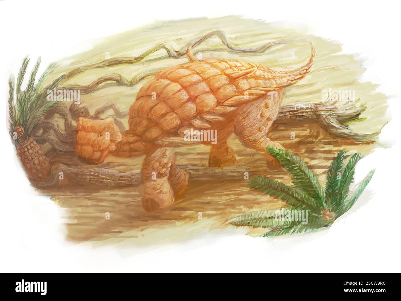 Europelta or Europe's shield is an ankylosaurid from the Early ...