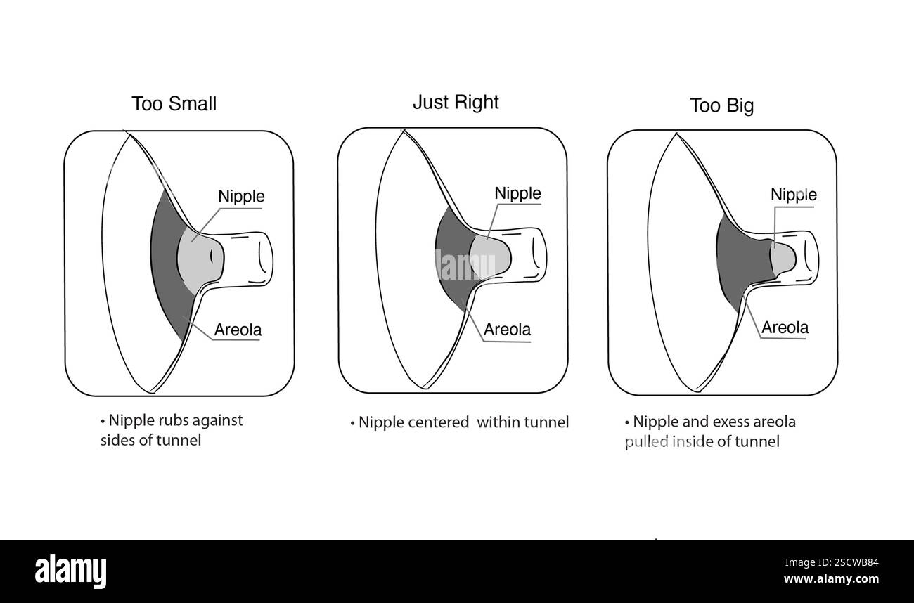 Diagram showing various sizes of nipple shields Stock Photo - Alamy