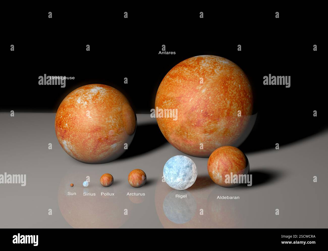 Comparison of star sizes, computer illustration. Rigel is a hot, blue B ...
