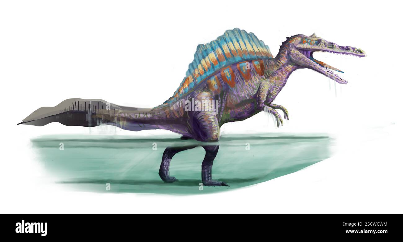 Spinosaurus is a genus of spinosaurid dinosaur that lived during the ...