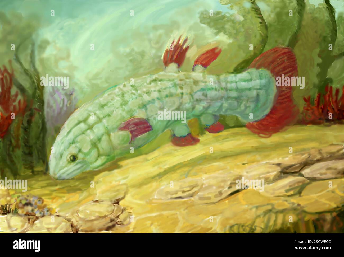 Macropoma is a specific genus of coelacanth in the class Sarcopterygii ...