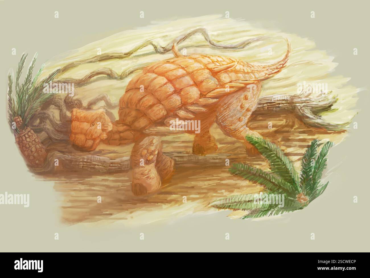 Europelta or Europe's shield is an ankylosaurid from the Early ...