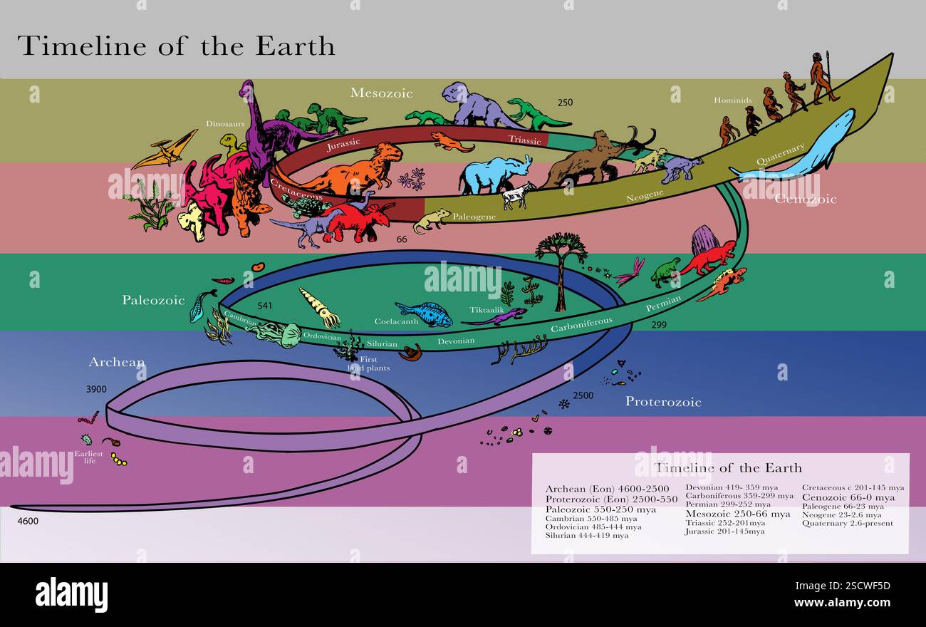 Timeline of the Earth. It shows how life evolved on Earth's geological ...