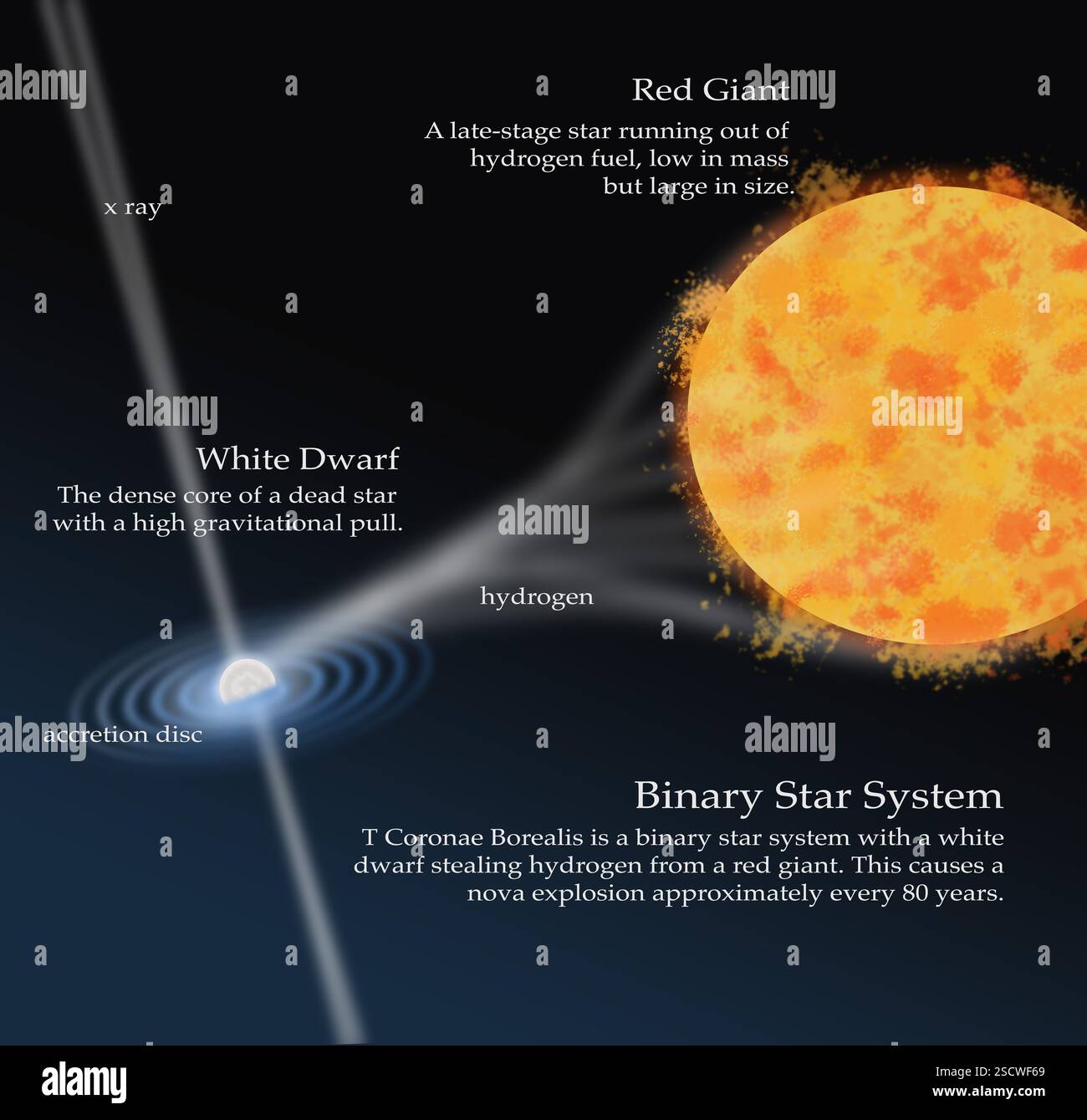 A binary star system similar to the Blaze Star also named T Coronae Borealis (T CrB), is a ...