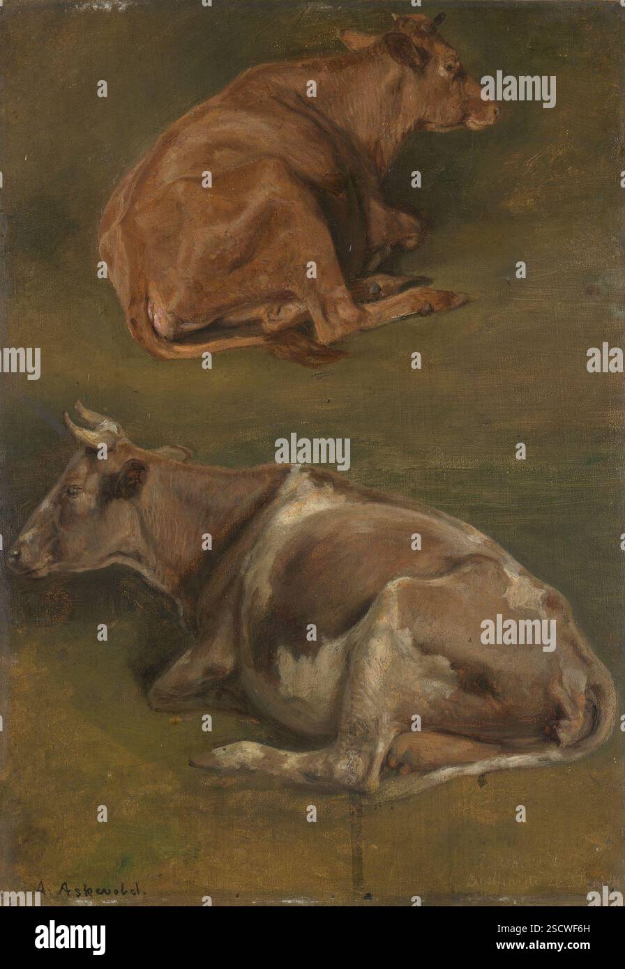 Study of Cows, 1861 Stock Photo - Alamy