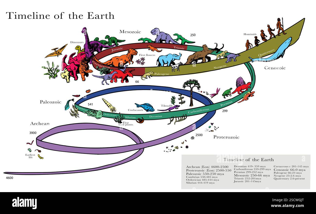 Timeline of the Earth. It shows how life evolved on Earth's geological ...