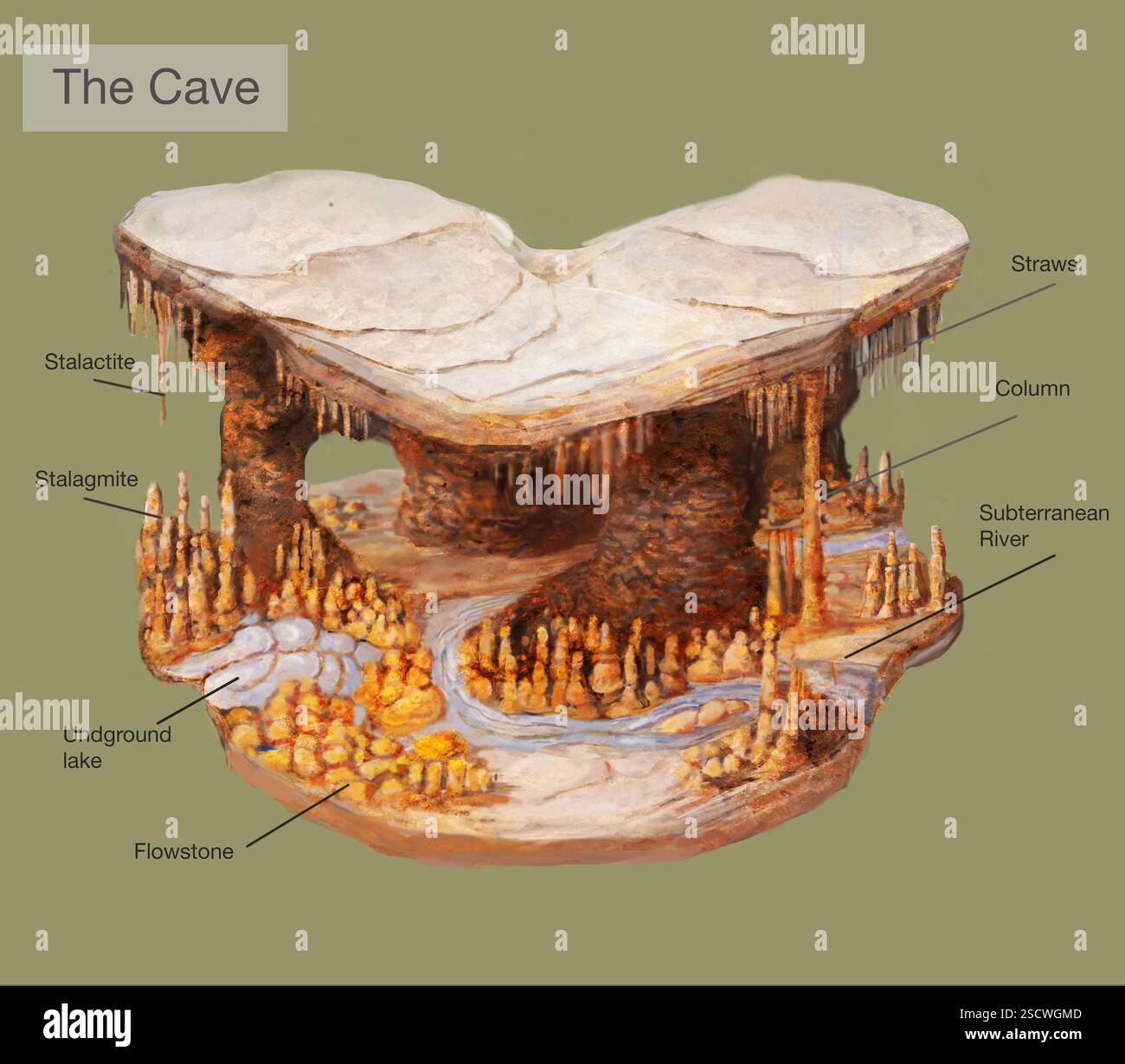 Cave illustration indicating parts of a cave, including stalactite ...