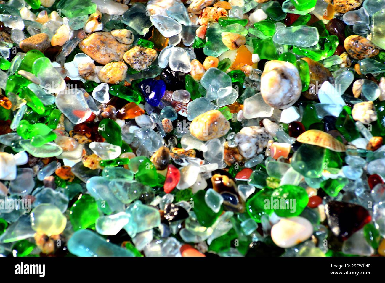 Predominant green colour hi-res stock photography and images - Alamy