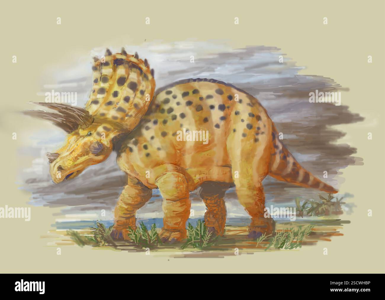 Triceratops or 'three-horned face' is a genus of chasmosaurine ...