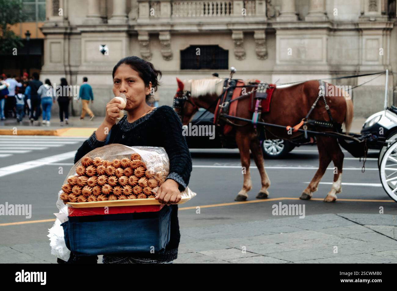 Street Vendor Selling Churros with a Horse in the Background – Centro ...