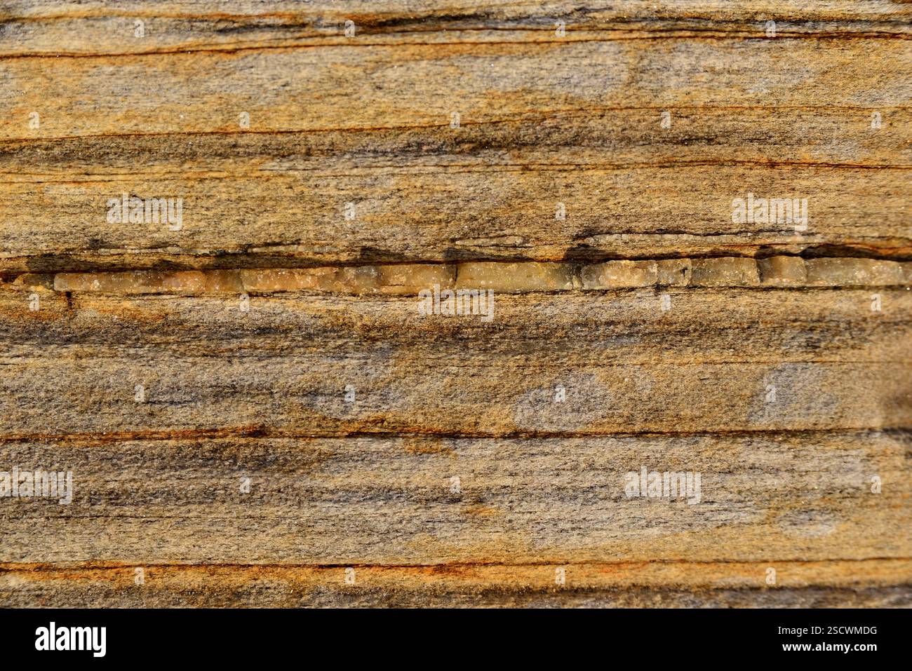Diverse layers of sedimentary rock with different colours and textures ...