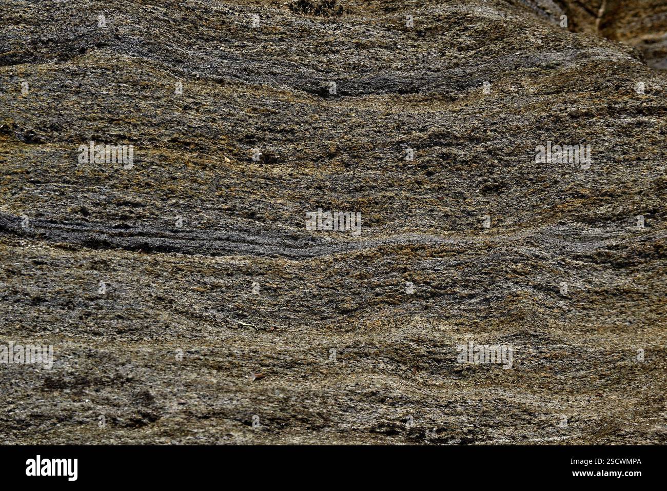 Stratified rock in thin greyish sandy layers Stock Photo - Alamy