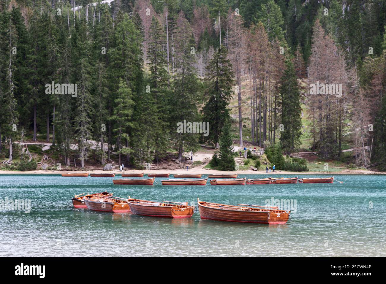 Famous wooden boats float on the turquoise waters of Lake Braies in the ...