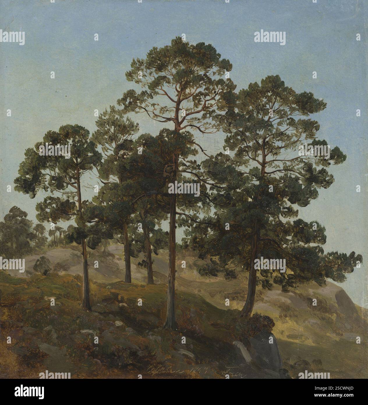 Study of Trees, 1843 Stock Photo - Alamy