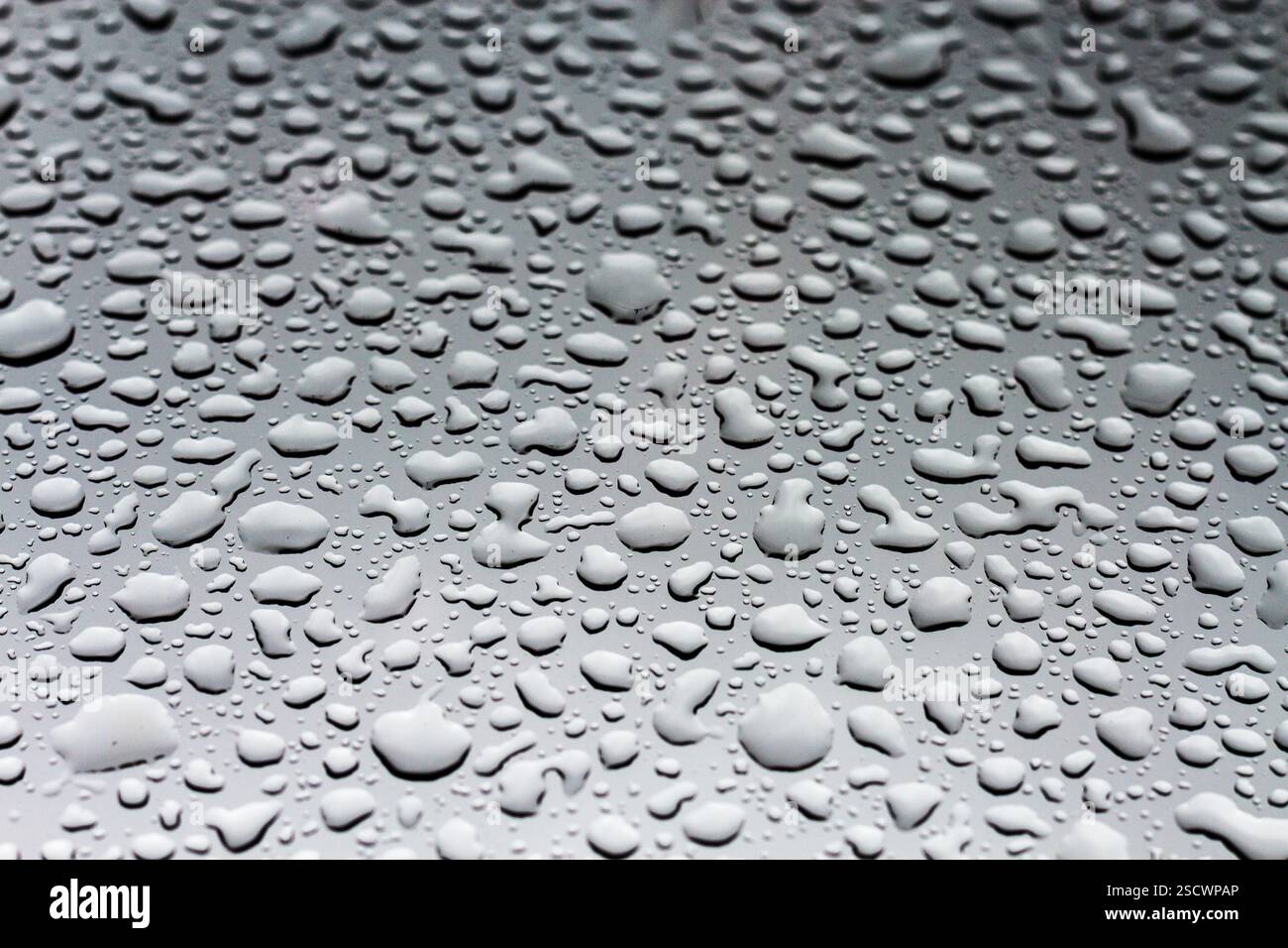 Water droplets collect on a smooth surface during a rainy day, creating ...