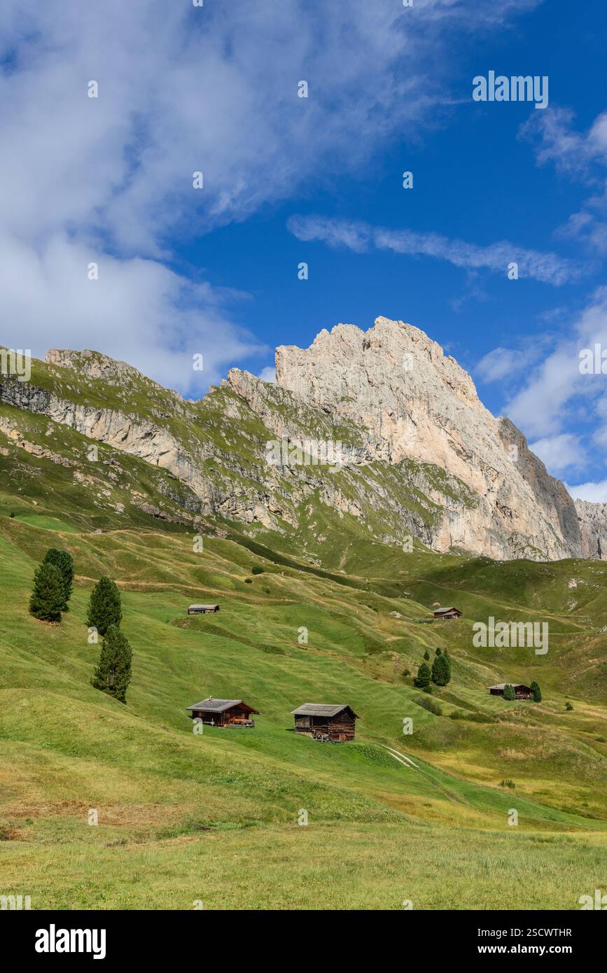 Vertical view of the Seceda ridge in the Dolomites, Italy, featuring ...