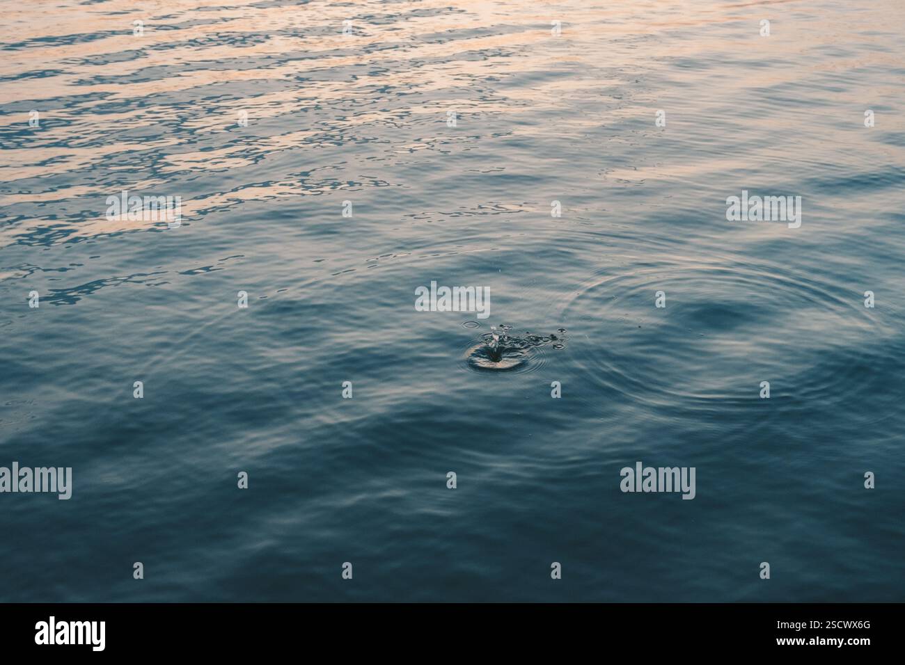 Water droplet on sea surface reflecting golden hour colours Stock Photo ...