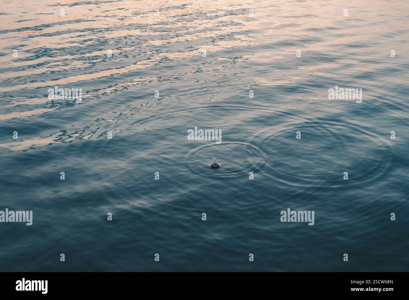 Water droplet on sea surface reflecting golden hour colours Stock Photo ...