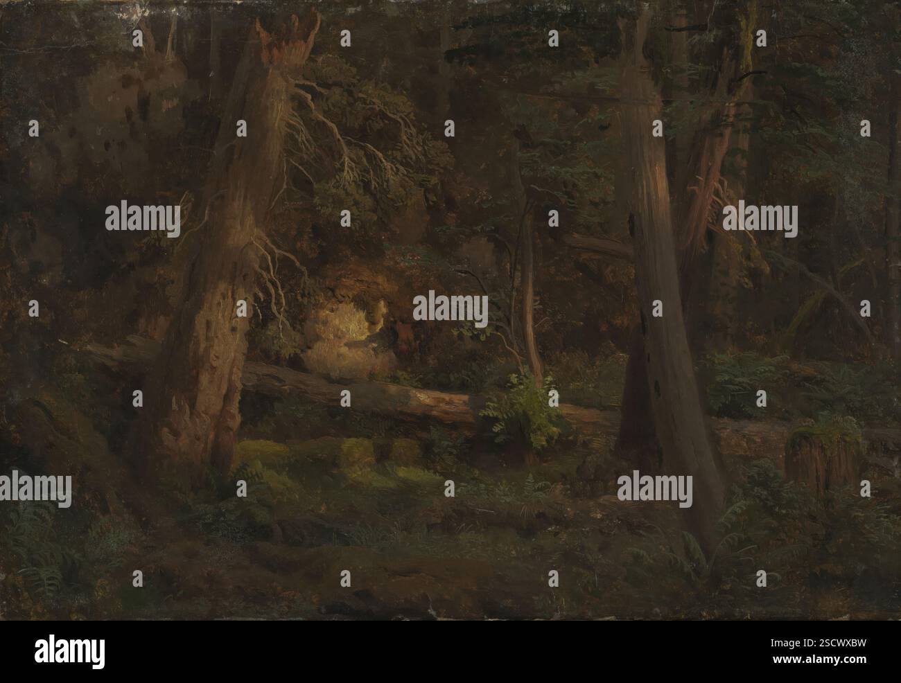 Forest Study, probably 1851 Stock Photo - Alamy