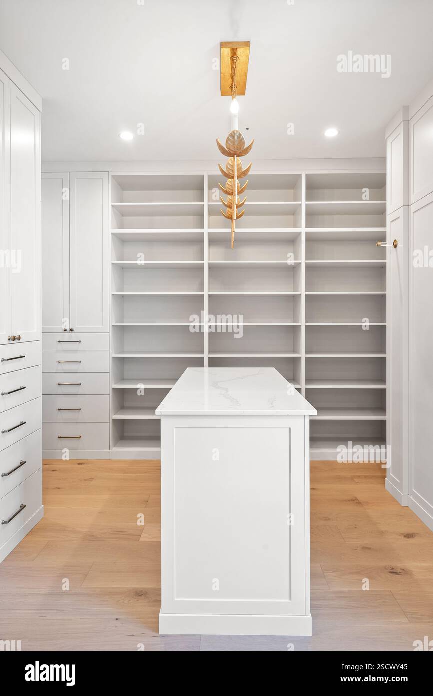 A white walk in closet with a white counter and shelves. The closet is ...