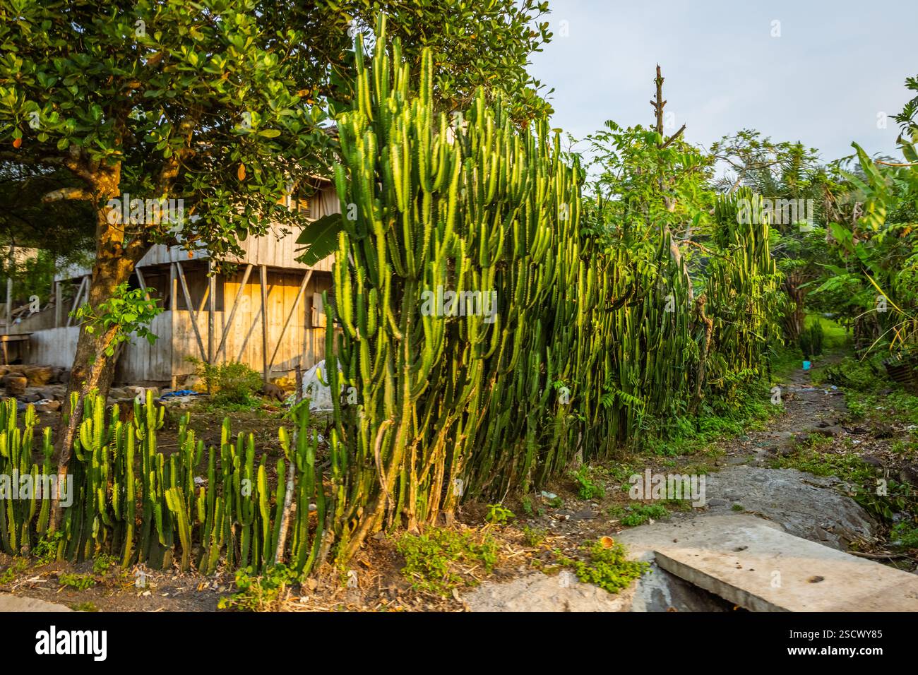 Traditional house in Sao Tome e Principe Stock Photo - Alamy