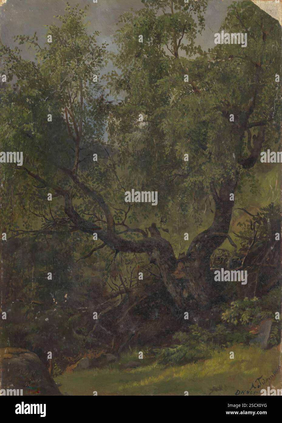 Numedal hi-res stock photography and images - Alamy