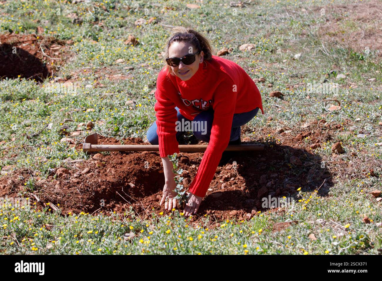 Leonor Watling during the planting of holm oak trees to offset the ...