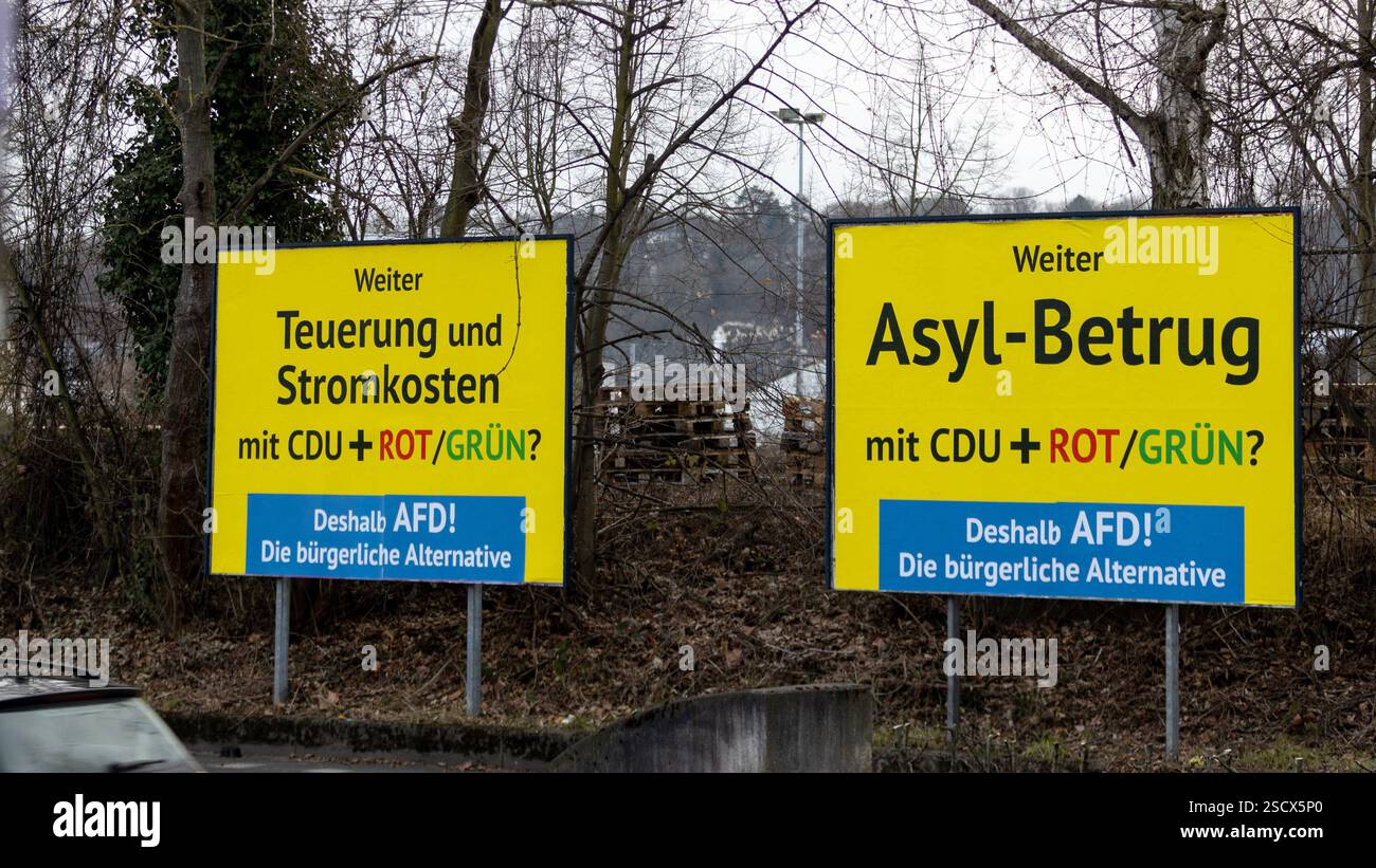 Pro Afd Wahlplakate in Bonn 07.02.2025 Wahlplakate an einer Plakatwand ...
