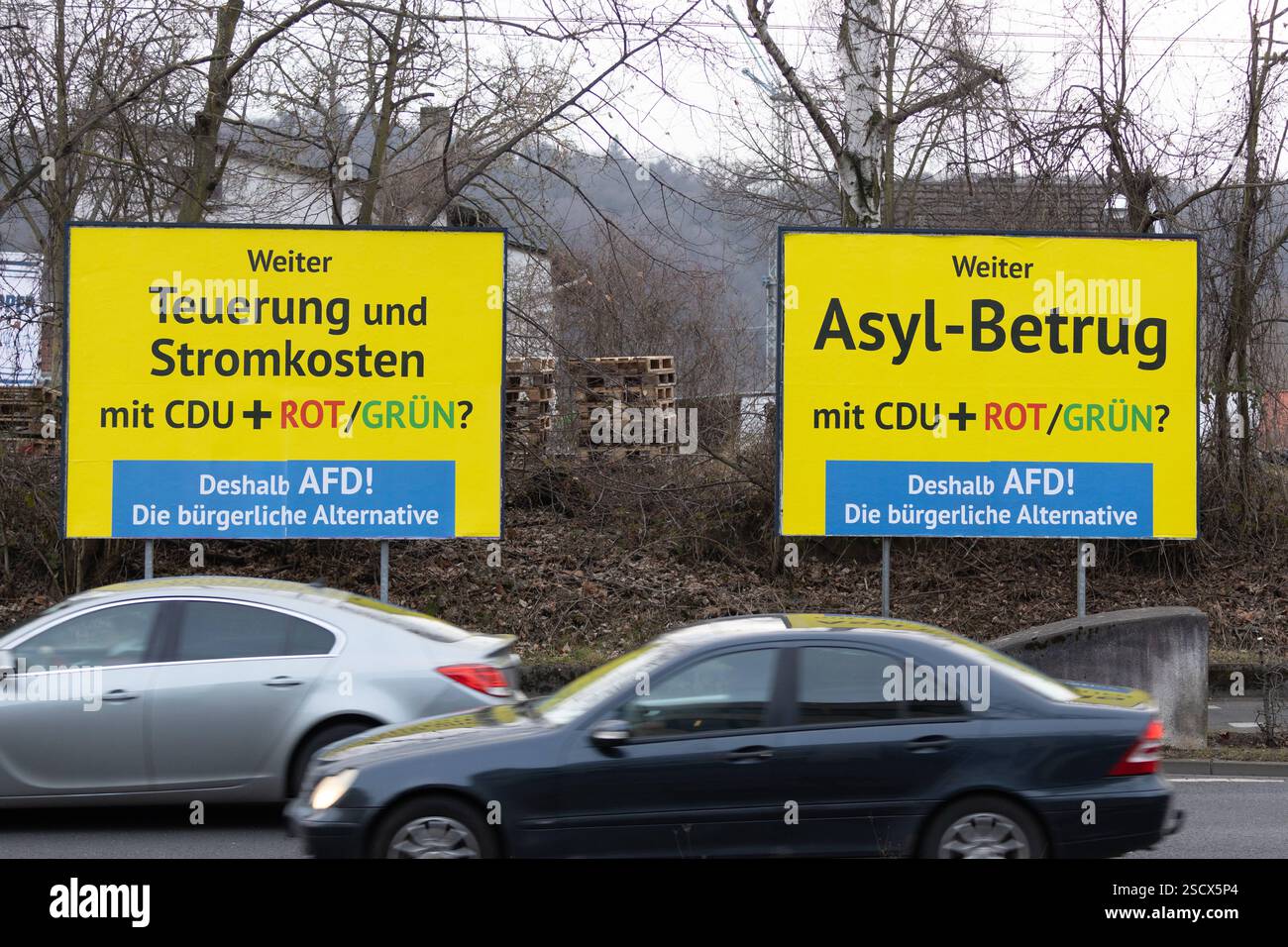 Pro Afd Wahlplakate in Bonn 07.02.2025 Wahlplakate an einer Plakatwand ...