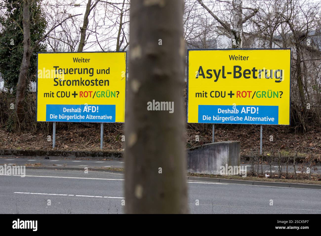 Pro Afd Wahlplakate in Bonn 07.02.2025 Wahlplakate an einer Plakatwand ...