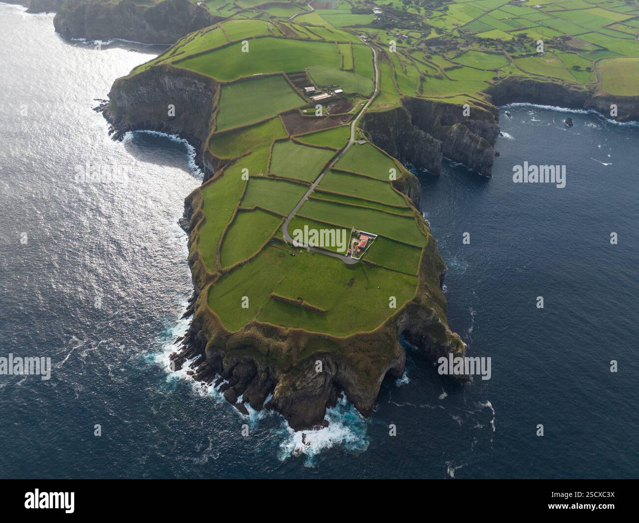 green grassland and rock land landscape of the Azores islands in the ...