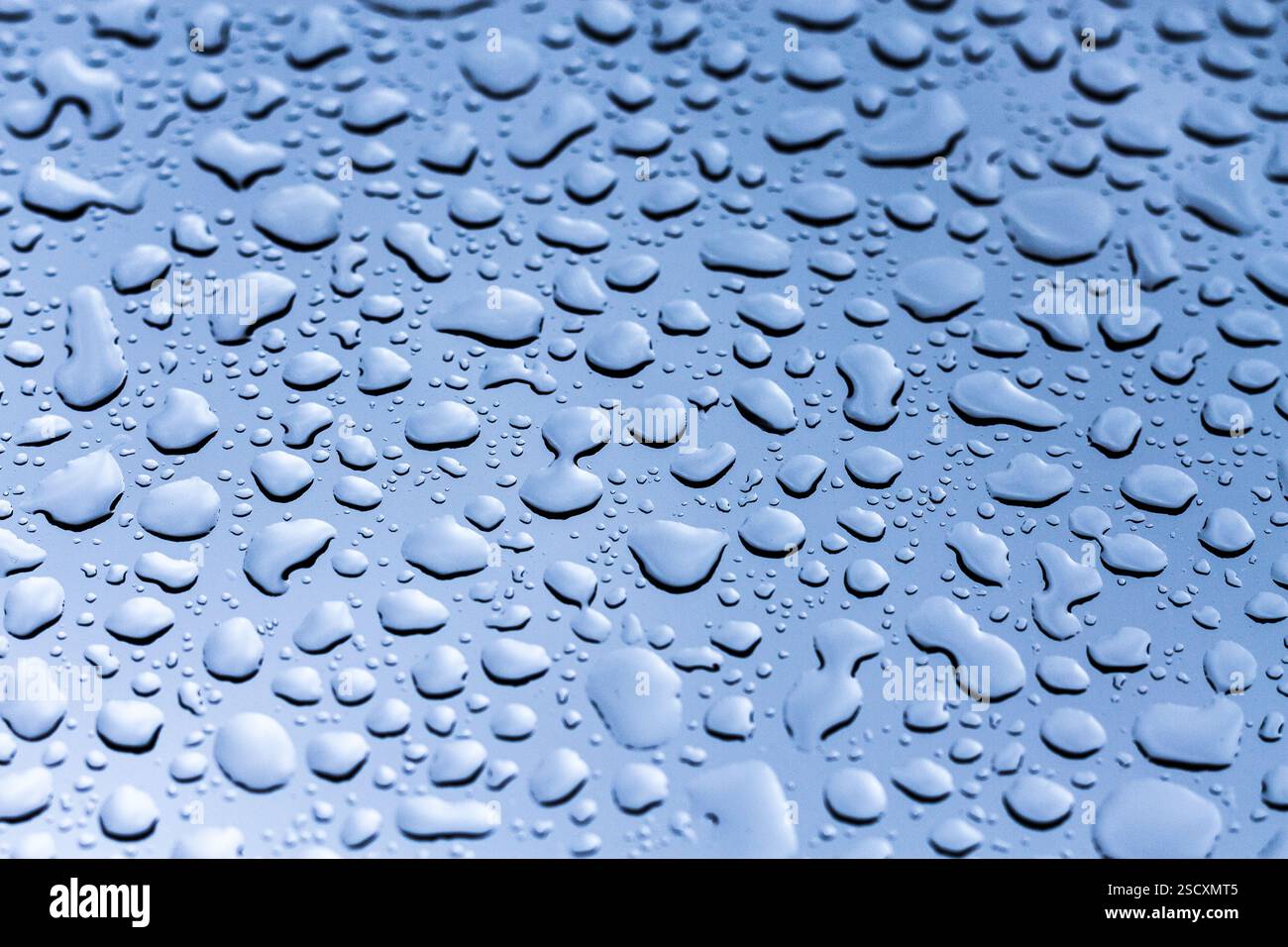 Raindrops collect on a sleek surface, creating a shimmering visual ...