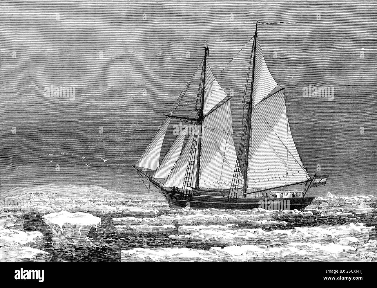 The Dutch Arctic Expedition: schooner Willem Barents sighting Franz ...