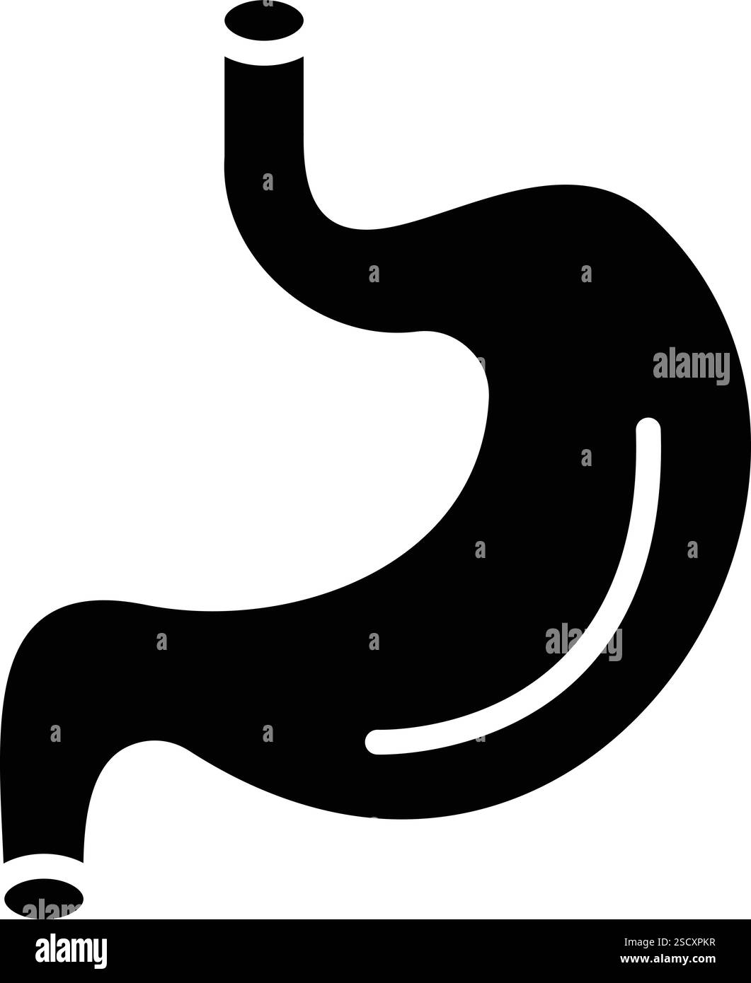 Stomach Vector Icon Design Illustration Stock Vector Image & Art - Alamy